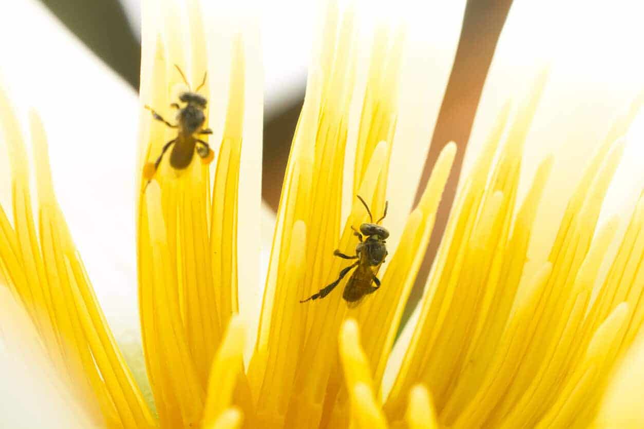 The Top 50 Things to Do in Malaysia With Children - Makchic